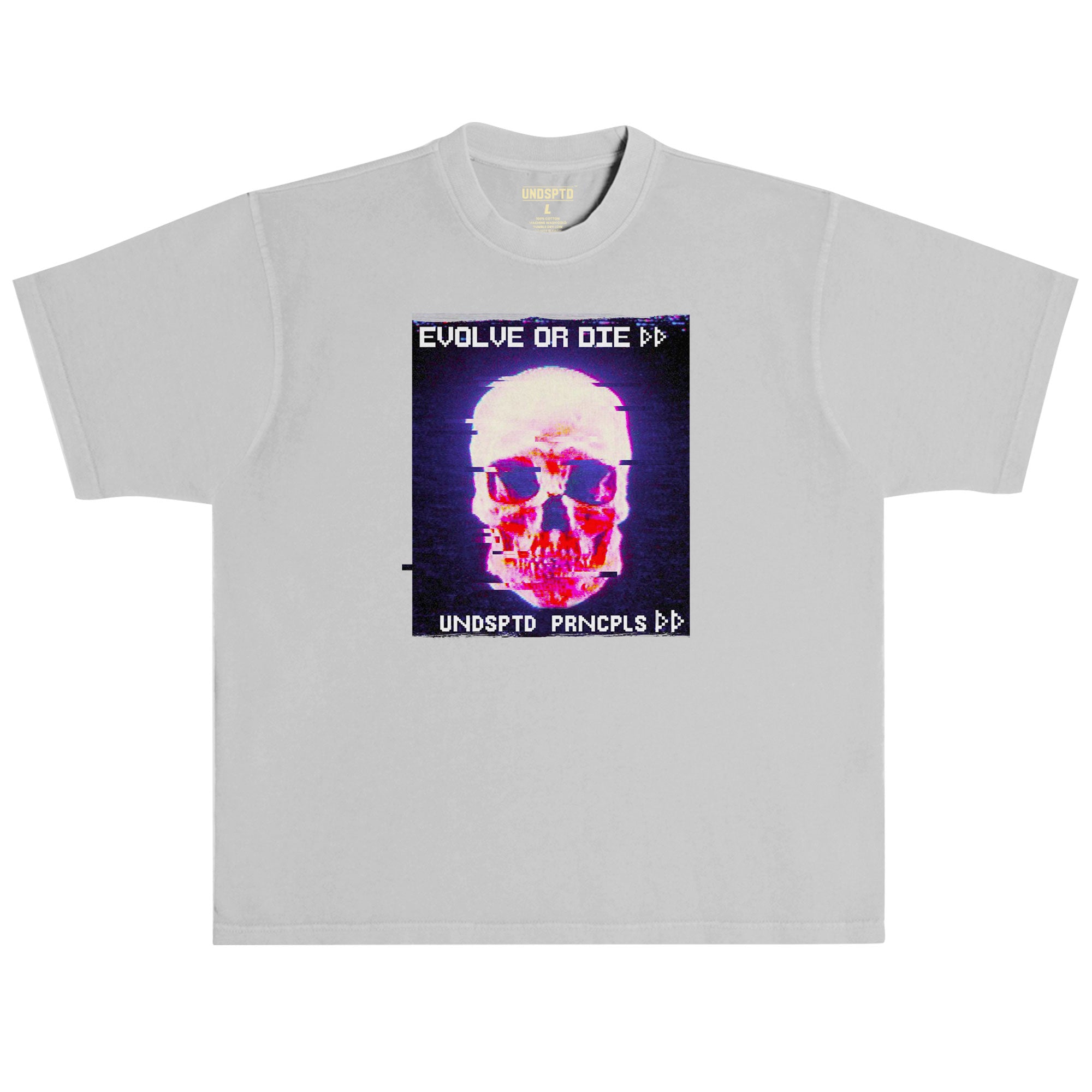 Undisputed Principles - Where Wisdom Meets Style